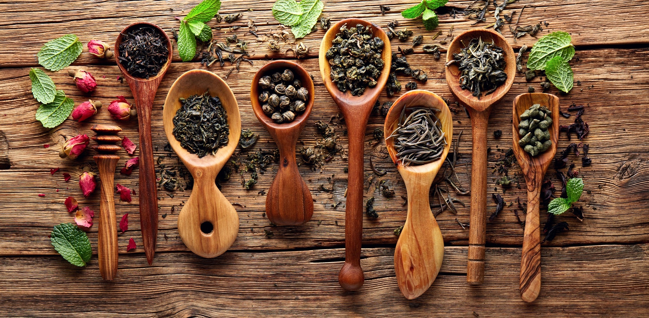 Nurturing Body and Soul with Premium Loose Leaf Blends – Tea Culture of ...