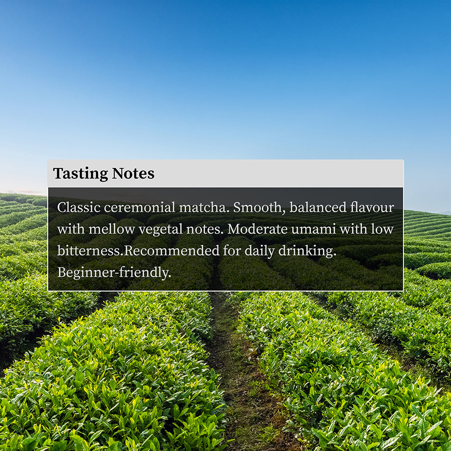 Buy Matcha Powder Online | Matcha Tea Powder | Best Matcha Tea – Tea ...