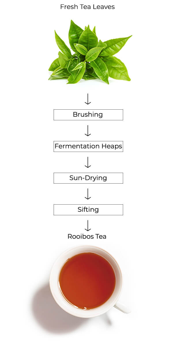 Tea Types | Buy Rooibos Tea Online | Tea Culture Of The World – Tea ...
